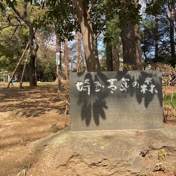 大宮公園 埼玉百年の森（公園） | MEQQE（めっけ）