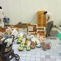 【愛媛県今治市】開催イベント情報まとめ【2024年1~3月】 | ブック | MEQQE（めっけ）