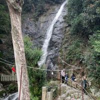 【愛媛県今治市】開催イベント情報まとめ【2024年3～5月】 | ブック | MEQQE（めっけ）